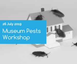 Home | Modified Atmospheres